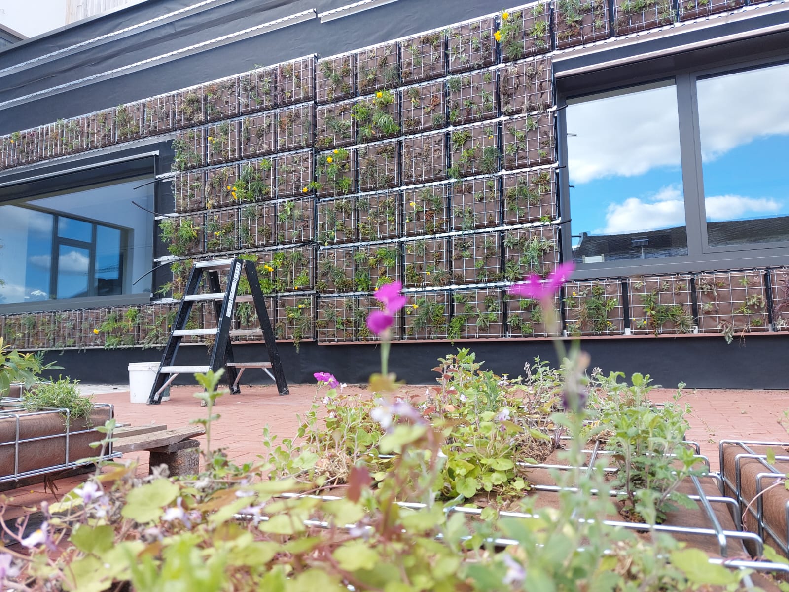 Nous développons la nature chez vous, à votre image et selon vos enjeux ...